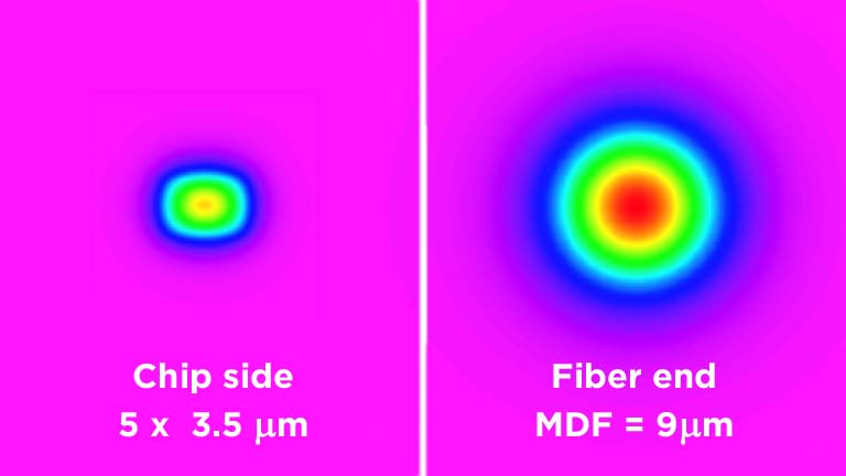 Spot Size Conversion Fiber Array | Sumitomo Electric